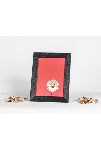 Bicanzade Beyazıd Masaüstü Dekoratif Resim & Fotoğraf Çerçevesi Siyah Renkdesenli Resim Çerçevesi Bicanzade Beyazıd Masaüstü Dekoratif Resim & Fotoğraf Çerçevesi Siyah Renkdesenli Resim Çerçevesi