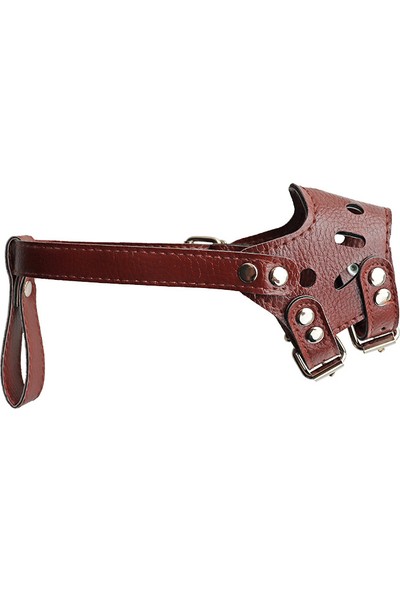 Petoys Kahve L Küçük ve Orta Boy Köpek Ağızlığı Evcil Hayvan Güvenliği Isırma Ağız Ağızlık (Yurt Dışından) Petoys Kahve L Küçük ve Orta Boy Köpek Ağızlığı Evcil Hayvan Güvenliği Isırma Ağız Ağızlık (Yurt Dışından)