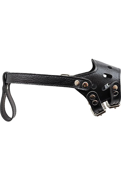 Petoys Siyah M Küçük ve Orta Boy Köpek Ağızlığı Evcil Hayvan Güvenliği Isırma Ağız Ağızlık (Yurt Dışından) Petoys Siyah M Küçük ve Orta Boy Köpek Ağızlığı Evcil Hayvan Güvenliği Isırma Ağız Ağızlık (Yurt Dışından)