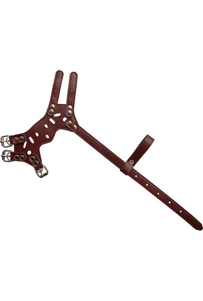 Petoys Kahve Xl Küçük ve Orta Boy Köpek Ağızlığı Evcil Hayvan Güvenliği Isırma Ağız Ağızlık (Yurt Dışından) Petoys Kahve Xl Küçük ve Orta Boy Köpek Ağızlığı Evcil Hayvan Güvenliği Isırma Ağız Ağızlık (Yurt Dışından)