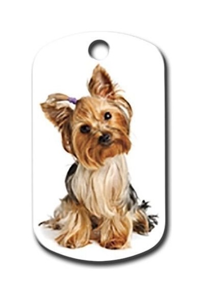 Pet Tag Art York Shire Köpek Künyesi Large Pet Tag Art York Shire Köpek Künyesi Large