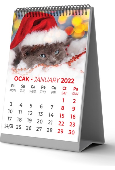 Kedi Temalı Takvim Kedi Temalı Takvim
