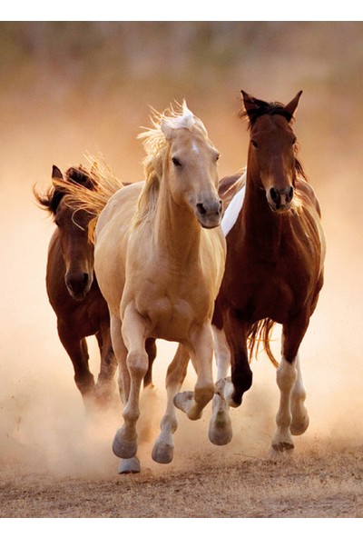 Clementoni Running Horses Clementoni Running Horses