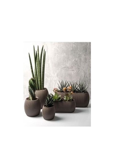 Temmuz Home Mercan 5 Li Saksı Seti Kaktüs Sukulent Çiçekler Için Saksı Temmuz Home Mercan 5 Li Saksı Seti Kaktüs Sukulent Çiçekler Için Saksı