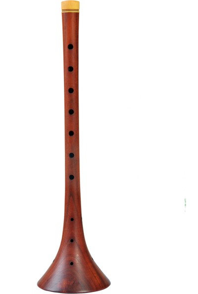 Saz 220D-SOL Erik Zurna