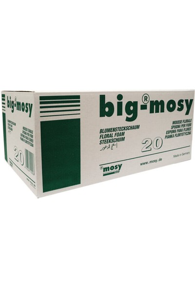 Big Mosy Yeşil Oasis 20'li çiçek Süngeri