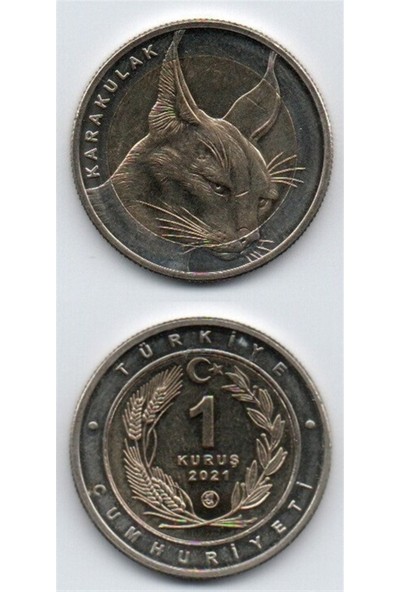 Benim Koleksiyonum Karakulak Hatıra Parası - Çil, 2021, 1 Kuruş
