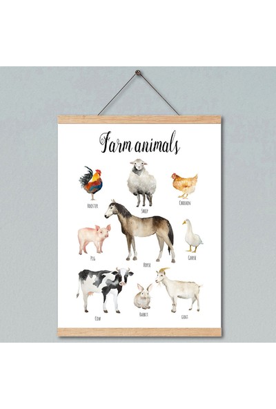 DekorLoft Dekor Loft Montessori Ingilizce Eğitici Poster Çiftlik Hayvanları
