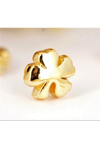 Lade 10 Adet Altın Kaplama Yonca Boncuk Bileklik Kolye Halhal Ucu Lade 10 Adet Altın Kaplama Yonca Boncuk Bileklik Kolye Halhal Ucu