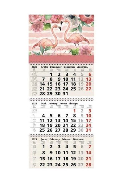 Gıpta 2022 805-BRS Gemici Takvimi Bristol 3 Aylık 33 x 78 cm