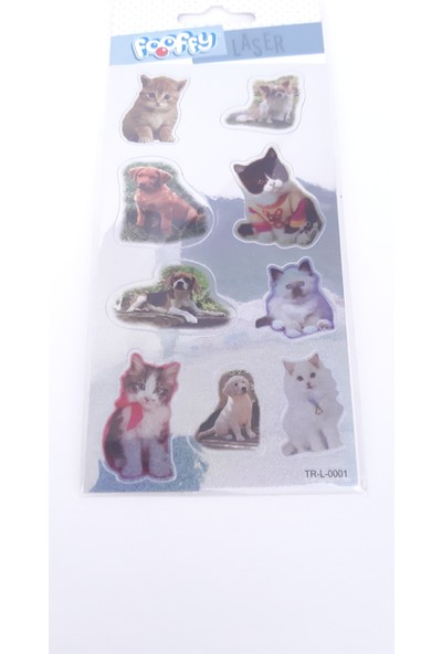 Fooffy Laser TR-L-0001 Sticker