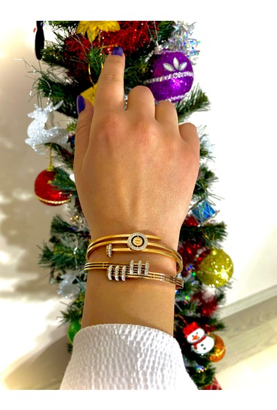 Royal Steels Rose Gold Kadın Çelik Bileklik 2'li Kombin Set