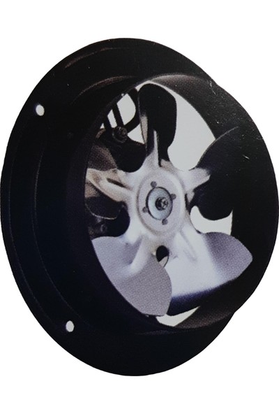 Fansan Aksiyel Duvar Tipi Aspiratör BA-300 Fansan Aksiyel Duvar Tipi Aspiratör BA-300