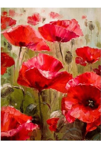 Lilyhobbyland Sayılarla Boyama Seti (Çerçevesiz) Rulo 40 x 50 Cm: Gelincik Tarlası