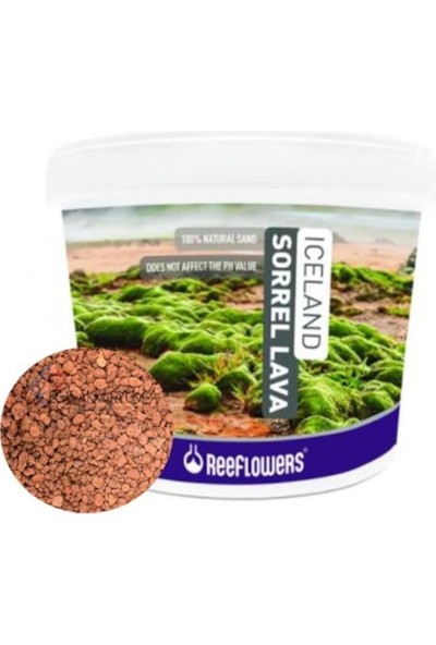 Reeflowers Lav Kırığı 1-3 mm 1 kg Kovadan Bölme