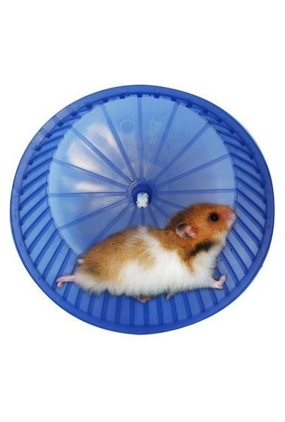 ANS Hamster Çarkı 15*7 cm