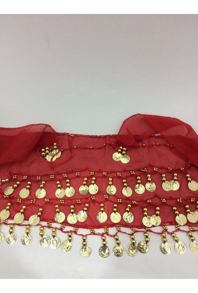 By Ayanoglu Kına Gecesi Kına Malzemeleri Şakira Kemeri ( Pullu Oyun Kemeri) By Ayanoglu Kına Gecesi Kına Malzemeleri Şakira Kemeri ( Pullu Oyun Kemeri)