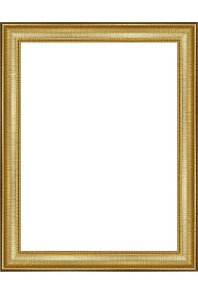 Resim Shop Resim Çerçevesi 40F03 Altın Ölçü Seçenekli Resim Shop Resim Çerçevesi 40F03 Altın Ölçü Seçenekli