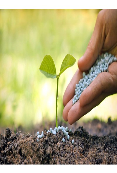 Antoryum-Arokorya-Starliçe-Pachira Için Akıllı Granül Gübre 1.kg Antoryum-Arokorya-Starliçe-Pachira Için Akıllı Granül Gübre 1.kg