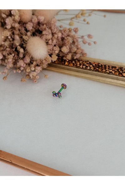 Takıdan Beş Toplu Renkli Cerrahi Çelik Kıkırdak Tragus Dudak Piercing 8mm Takıdan Beş Toplu Renkli Cerrahi Çelik Kıkırdak Tragus Dudak Piercing 8mm