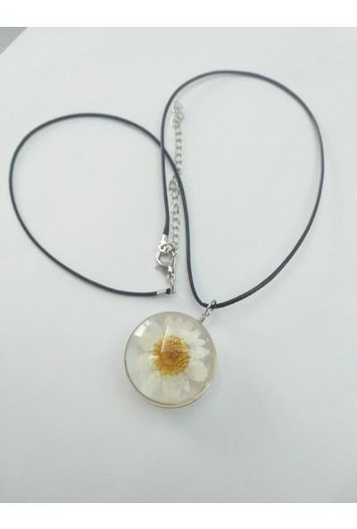 Mehmethan Uzel Gerçek Canlı Papatya Kadın Kolyesi