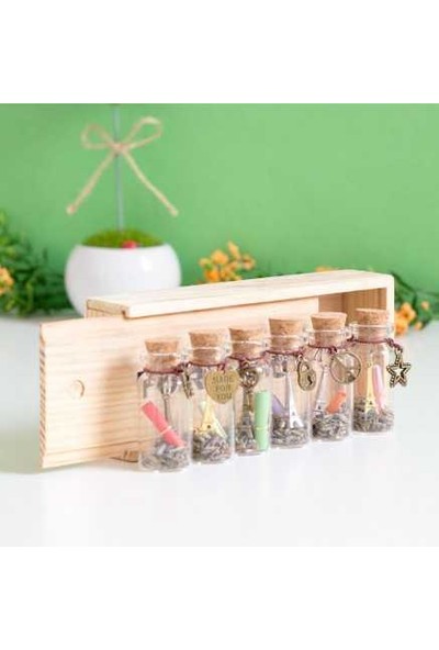 Evdeki Çarşı Sevgiliye 6'lı Dilek Şişesi