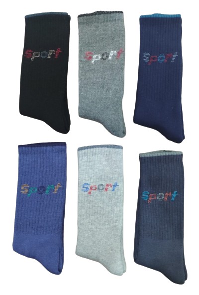 Erceys Erkek Çocuk Kışlık Pamuklu Kalın Havlu Termal Çorap 6'lı Erceys Erkek Çocuk Kışlık Pamuklu Kalın Havlu Termal Çorap 6'lı