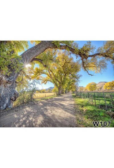 Dream Wall Art Duvar Kumaşı