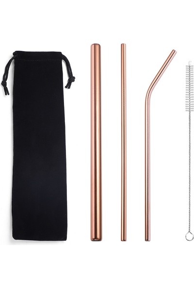 Tianyeda 4'lü Temizleme Fırçalı Yeniden Kullanılabilir Metal Pipet (Yurt Dışından)