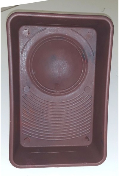 Papağan Yavruluk Için Folluk