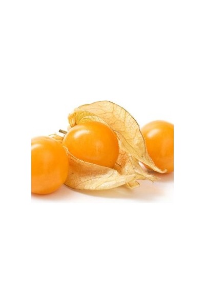 Köy Tohumları 20 Adet Tohum Tropikal Altın Çilek Tohumu Kaz Üzümü Ground Cherry Saksı Toprak Köy Tohumları 20 Adet Tohum Tropikal Altın Çilek Tohumu Kaz Üzümü Ground Cherry Saksı Toprak