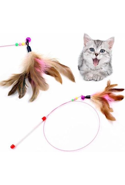 Arizzonna Kedi Oltası 1184