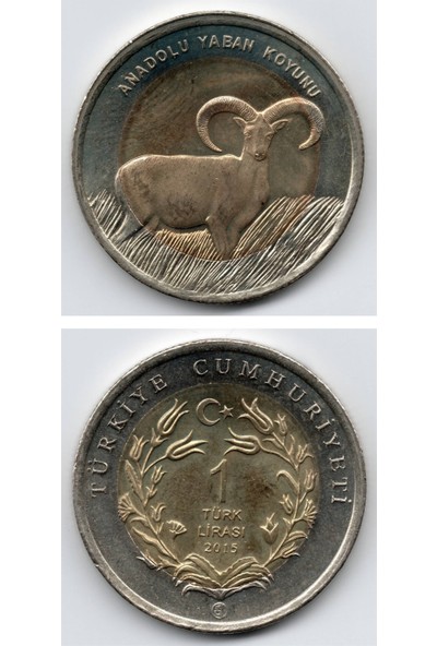 Benim Koleksiyonum Anadolu Yaban Koyunu - 2015 Hatıra Parası