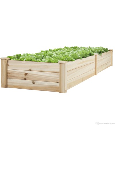 Platanus Peyzaj Sebze Tarhı 1 (Sebze Bahçesi)