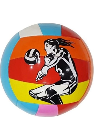 Bakio Voleybol Topu Profesyonel Boy Dikişli Voleybol Topu+Pompa+Ucu Bakio Voleybol Topu Profesyonel Boy Dikişli Voleybol Topu+Pompa+Ucu