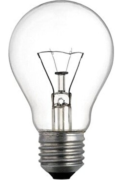 General Electric Akkor Flamanlı Isıtıcı Ampul 100 W Gün Işığı General Electric Akkor Flamanlı Isıtıcı Ampul 100 W Gün Işığı