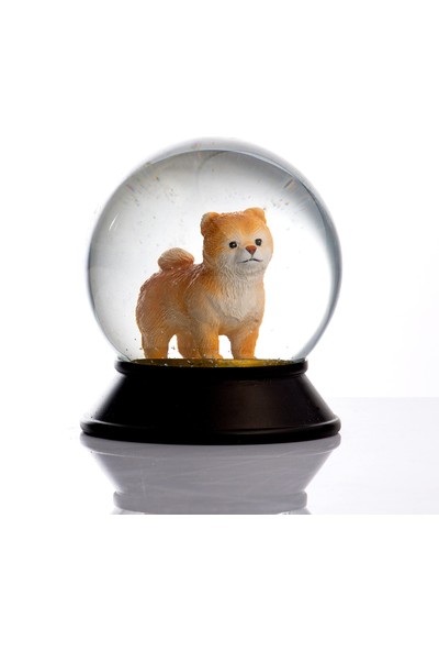 Snoowg Cam ve Reçine Altın Patiler Pomeranian Boo (Kayısı) Kar Küresi Snoowg Cam ve Reçine Altın Patiler Pomeranian Boo (Kayısı) Kar Küresi
