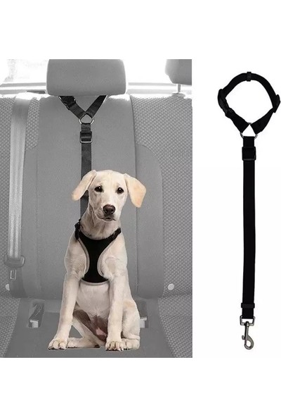 Ayaco Kedi ve Köpek Araç Emniyet Kemeri Tasması Ayaco Kedi ve Köpek Araç Emniyet Kemeri Tasması