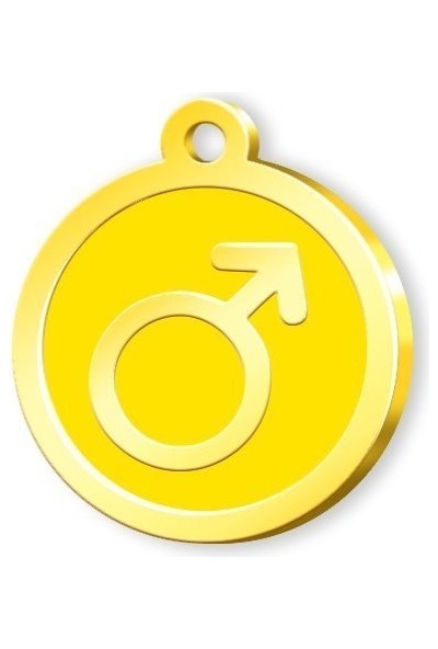 Altın Kaplama Erkek Sembol Künye - Sarı