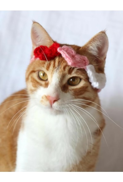 Burden Bana Çiçek Alır Mısın? , Sevimli Çiçek Tacı, El Yapımı, Handmade, Kedi Kıyafeti & Şapkası,aksesuarı