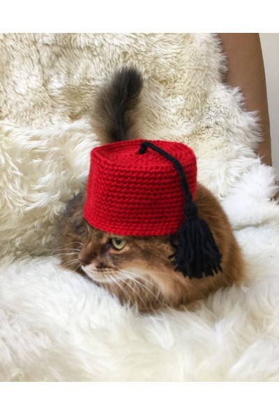 Burden Fes Başıma Püskülü Ben Olayım, Osmanlı Fes, Kedi Şapkası, Bere , Aksesuar, Pet Shop