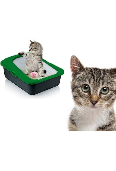 E Life Tasarım Lüks Kedi Kumluğu Yeşil