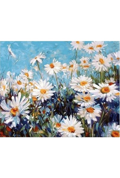 Myglobal Papatya Tarlası Sayılarla Boyama Seti Rulo Duvar Sticker 40 x 50 cm Myglobal Papatya Tarlası Sayılarla Boyama Seti Rulo Duvar Sticker 40 x 50 cm
