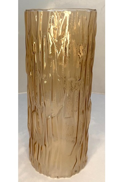 Missi Amber Cam Kabuk Vazo Missi Amber Cam Kabuk Vazo