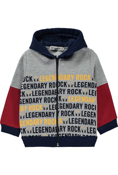 Pengim Erkek Çocuk Çocuk Kapüşonlu Hırka 2-5 Yaş Gri