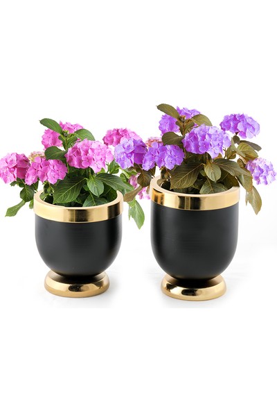 MHK Collection Conall Siyah Gold Dekoratif 2 Boy Saksı MHK Collection Conall Siyah Gold Dekoratif 2 Boy Saksı