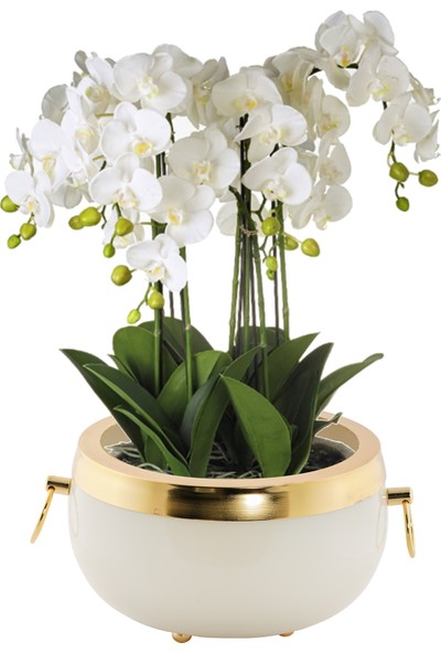MHK Collection Vıona Büyük Dekoratif Orkide Saksısı