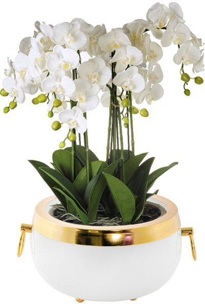 MHK Collection Vıona Büyük Dekoratif Orkide Saksısı