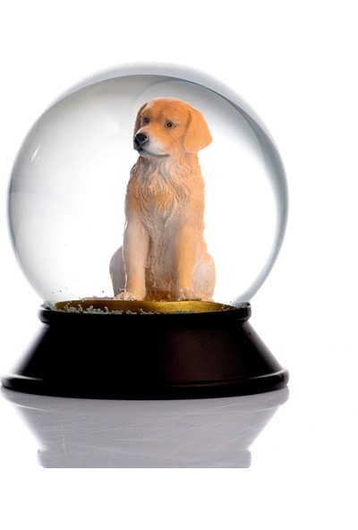 Snoowg Cam ve Reçine Altın Patiler Golden Retriever Kar Küresi Snoowg Cam ve Reçine Altın Patiler Golden Retriever Kar Küresi