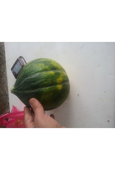 Yuvarlak Dilimli Yeşil Kavun Tohumu (10 Adet)